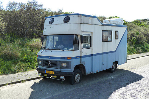 ipernity: 2008 Mercedes-Benz L508 DG - by Michiel 2005