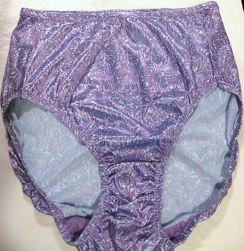Ipernity Ex Slutwifes Fuck Me Panties By Lee Mcintire