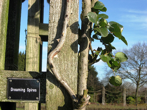 ipernity: Dreaming spires - by Adam