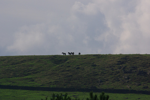 ipernity: Back Rowarth walk - by Colin Ashcroft