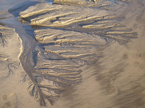 ipernity: veins in the sand - by Jenny McIntyre