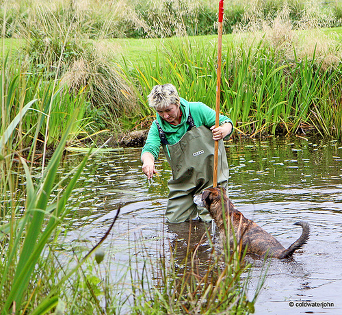 ipernity: Dougie, helping clear the pond! - by Coldwaterjohn