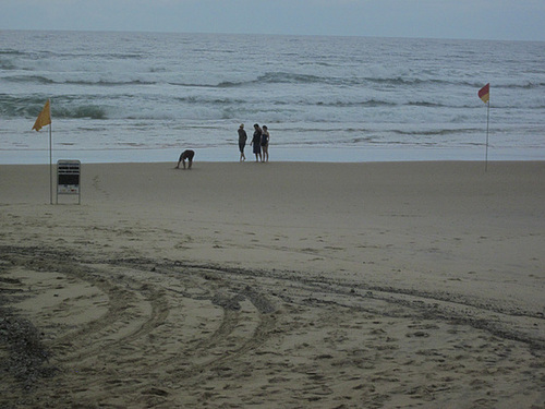 ipernity: Noosa062013 081 - by GrahamH