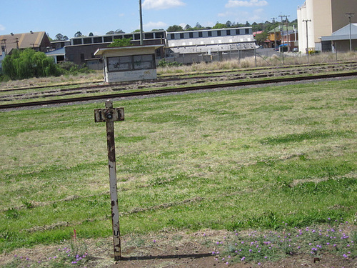 ipernity: 201109CarnivalofFlowersTrains 074 - by GrahamH