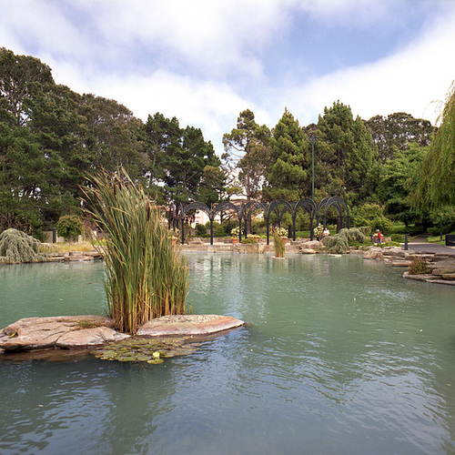ipernity: Campus Pond - by Scott Holcomb