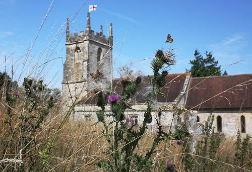 ipernity: Imber Church beyond the thistle - by PaulOfHorsham