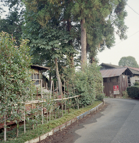 ipernity: Narrow bend - by zumishi