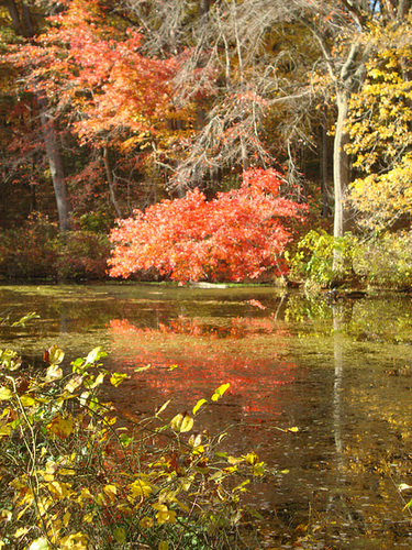 ipernity: DSC05124 - by Isabella