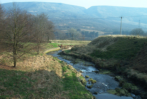 ipernity: Longdendale :Crowden Brook - by Colin Ashcroft