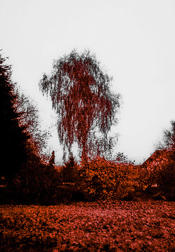 ipernity: Red Hour - by Ulrich John