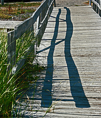 ipernity: Footbridge Over Lake Glensevern Drainage - by L. L. Wall