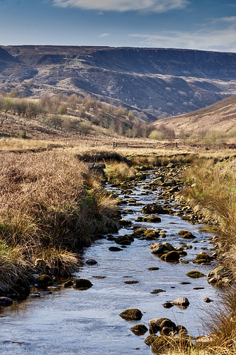 ipernity: Crowden Great Brook - by Colin Ashcroft