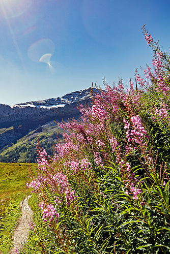 ipernity: 200805 Lac Retaud 22 - by Jean Vernet