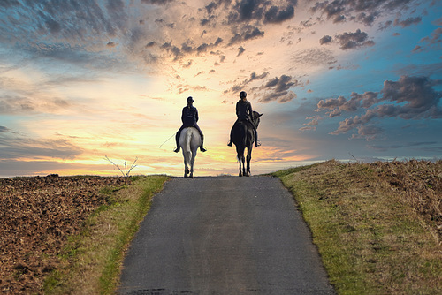 ipernity: Ein Ritt in den sonnigen Morgen - A ride into the sunny ...