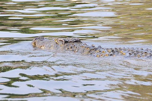 ipernity: Water is my element. - by Annemarie