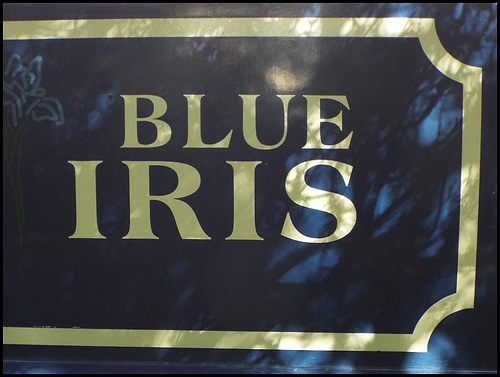 ipernity: Blue Iris narrowboat - by Isisbridge