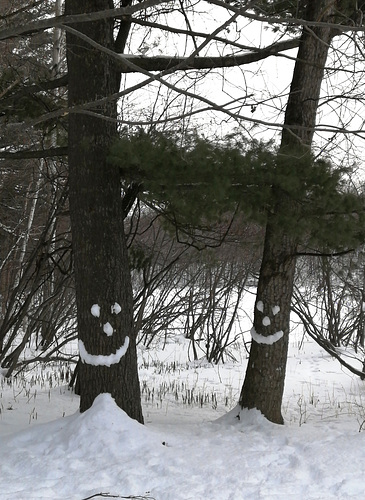 ipernity: Smiling trees-2021 Feb 5 - by Andrew Trundlewagon