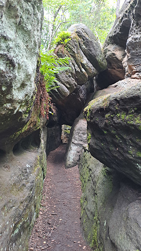 ipernity: 20250603 135634 - by Andreas