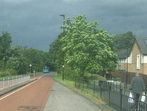 ipernity: DSCF7716 An Arriva bus on the Runcorn Busway - 15 Jun 2017 ...