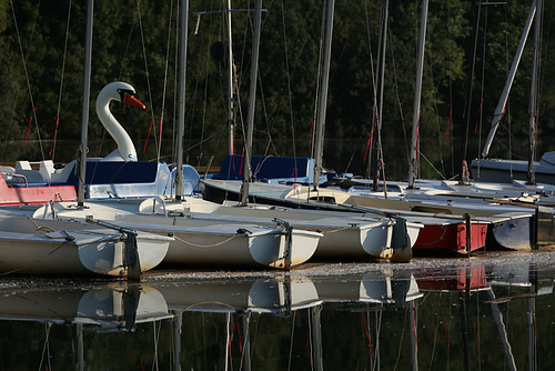 ipernity: HD-IP-5D3 9288 - by FarbFormFreude
