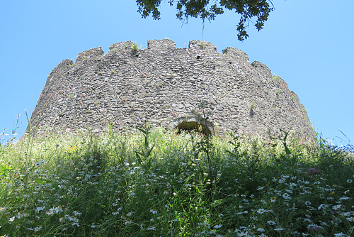 ipernity: trematon castle (31) - by Stiffleaf