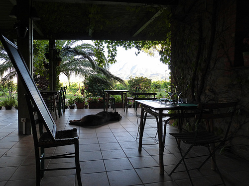 ipernity: Un ristorante che adoro - by Nora Caracci