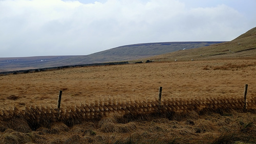 ipernity: Windle Edge grass catcher - by Colin Ashcroft
