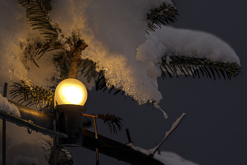 ipernity: TSC - Light Bulb - by Bergfex