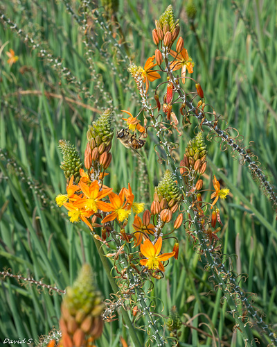 ipernity: DSN 0963 - by David Sn