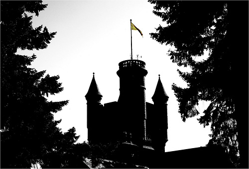 ipernity: #38 - Herb Riddle - THE castle - 21̊ 3points - by Iper SPC