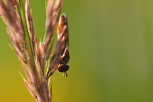 ipernity: . - by Heather Snider