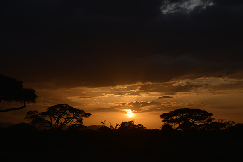 ipernity: Nearly dark. - by Annemarie