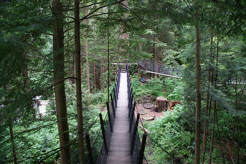 ipernity: Forest Walk In Capilano - by Neil Ellis