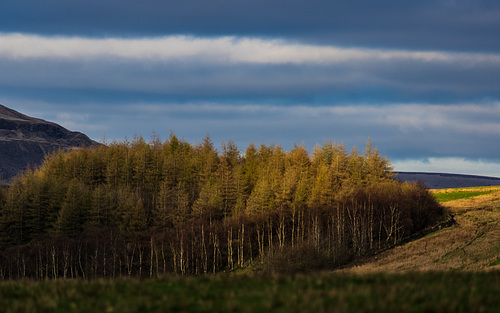 ipernity: late light in Longdendale (3) - by Colin Ashcroft