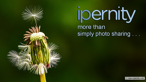 ipernity: #0253 (proof) - by Team