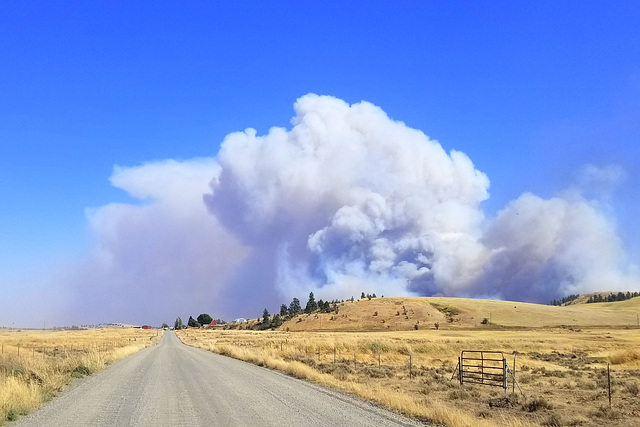 ipernity: Gray Fire - by RHH