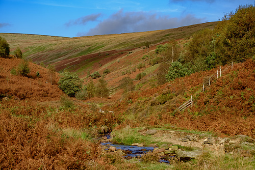 ipernity: Crowden Little Brook - by Colin Ashcroft