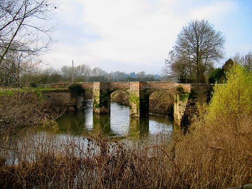 ipernity: Powick Old Bridge A Grade I Listed Building - by Pedrocut